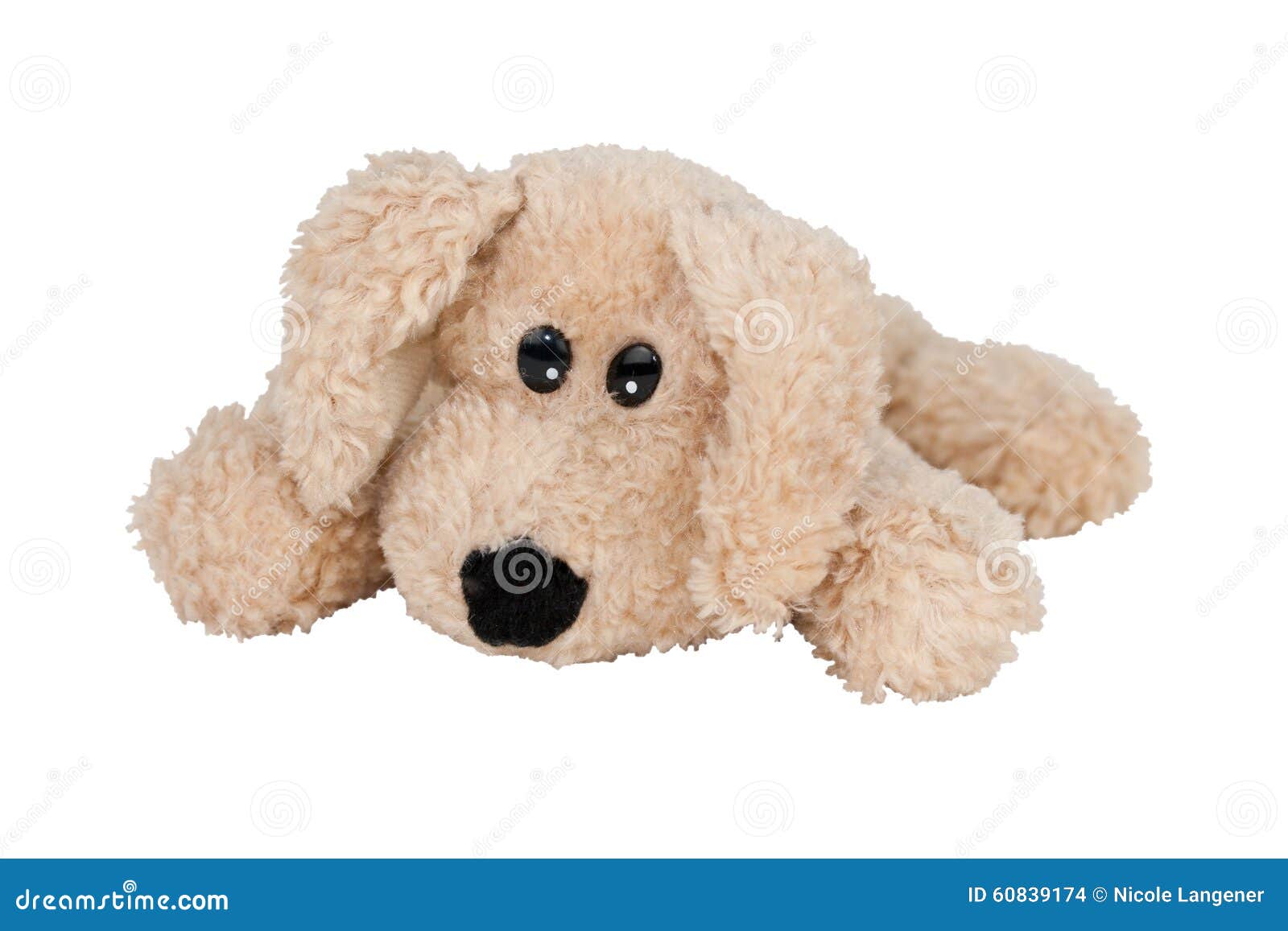 Stuffed toy dog stock photo. Image of soft, face, teddy - 60839174