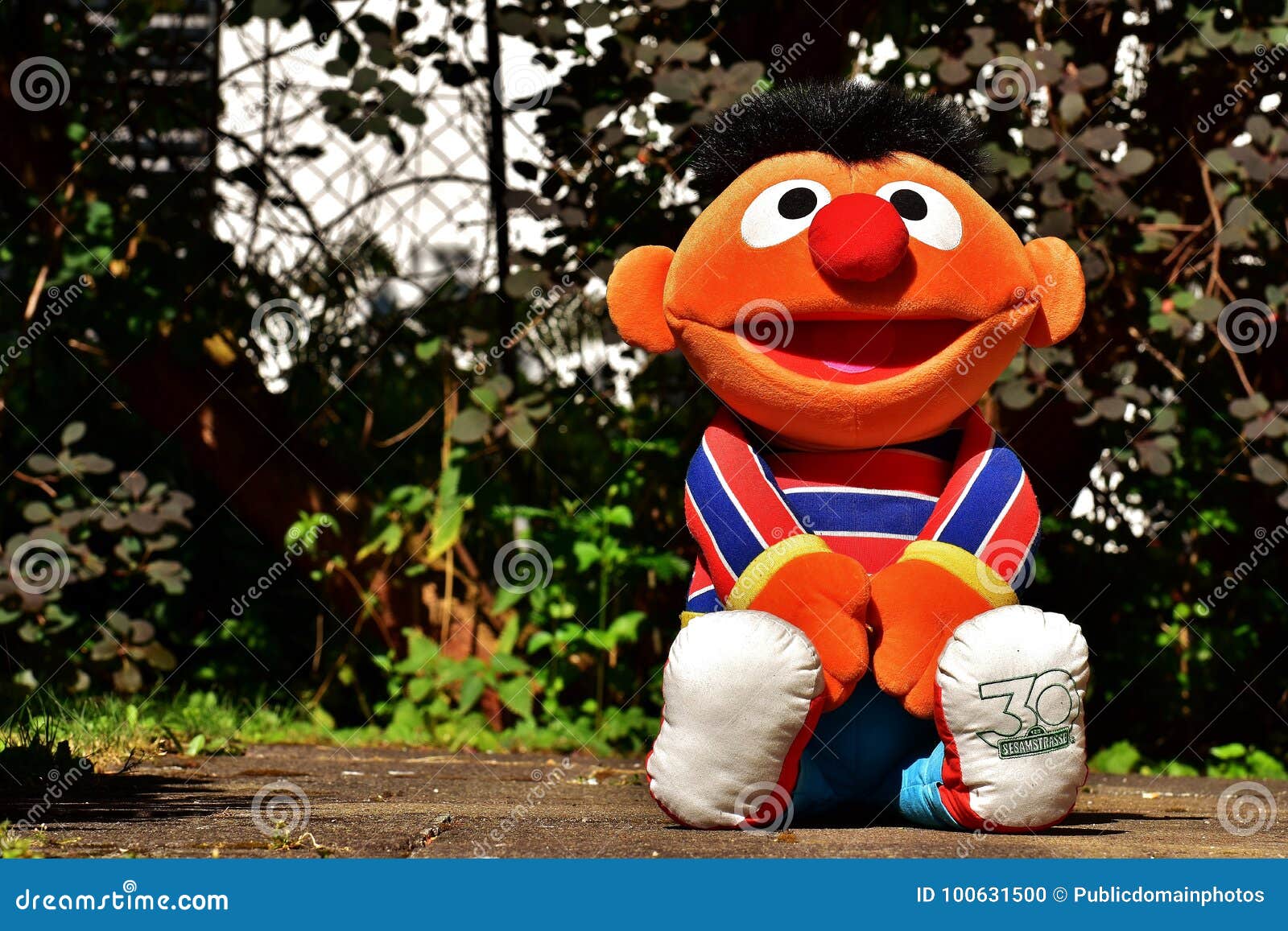 Stuffed Toy, Mascot, Toy, Grass Picture. Image: 100631500