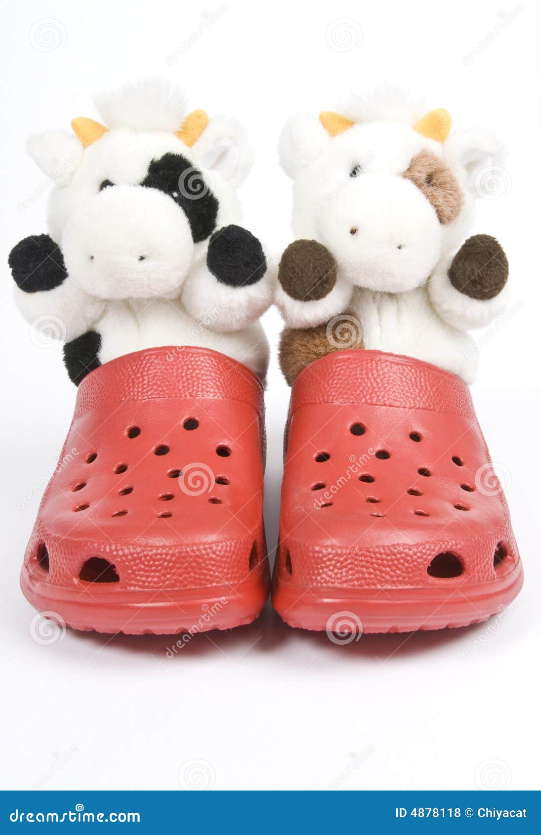 Stuffed Toys Wearing Red Plastic Clogs Stock Photo - Image of shoes ...