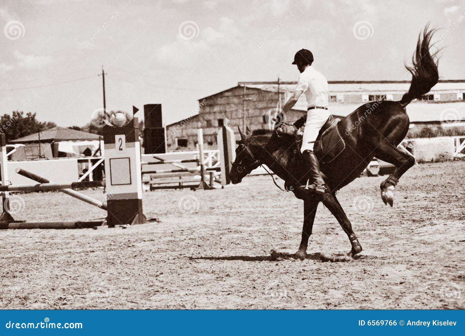 Stumble stock photo. Image of animal, people, racehorse - 6569766