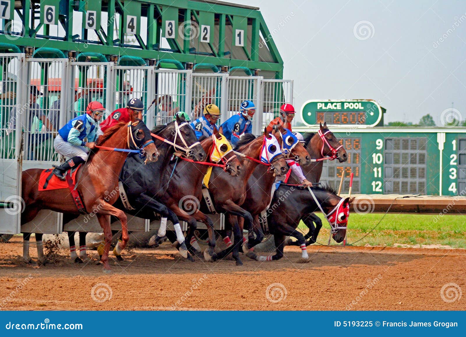 Stumbling Start editorial image. Image of stallion, jockey - 5193225