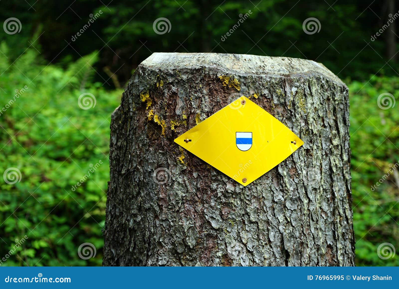 Stummel mit Kennzeichen redaktionelles bild. Bild von nave - 76965995