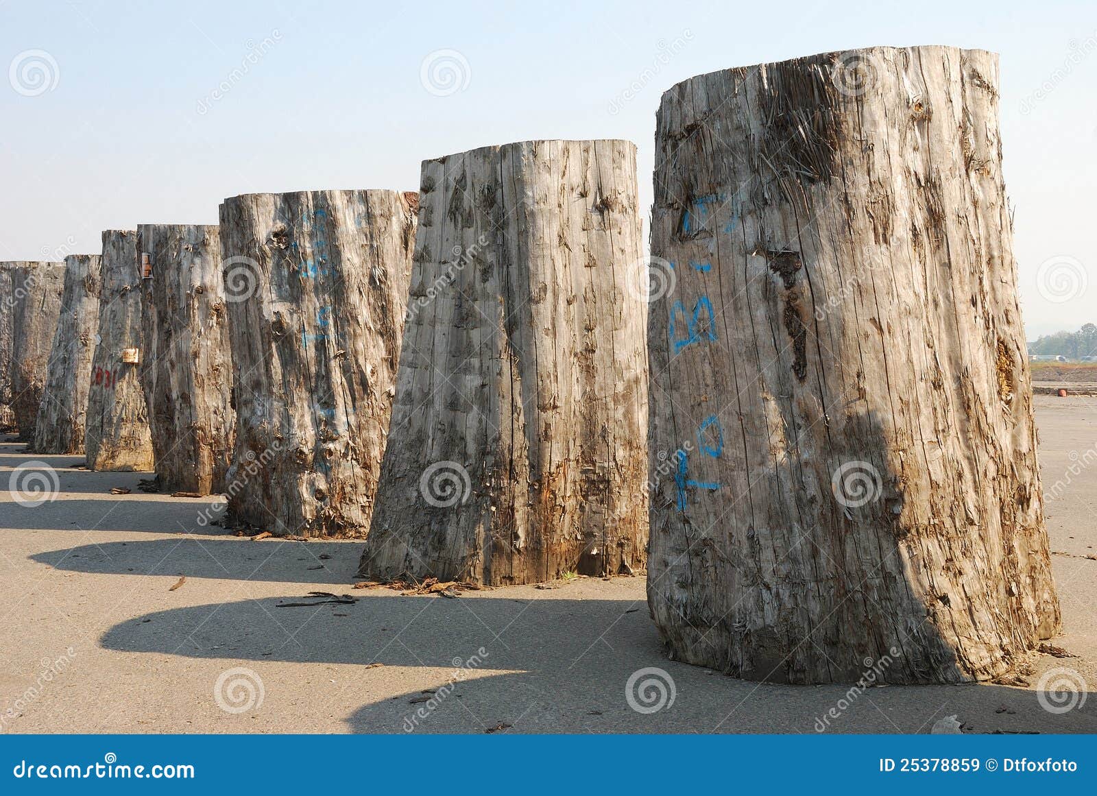 Stump Barrier stock image. Image of timber, privacy, obstacle - 25378859
