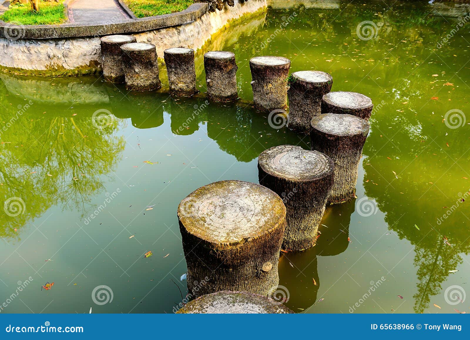 Stump bridge. stock photo. Image of colorful, wooden - 65638966