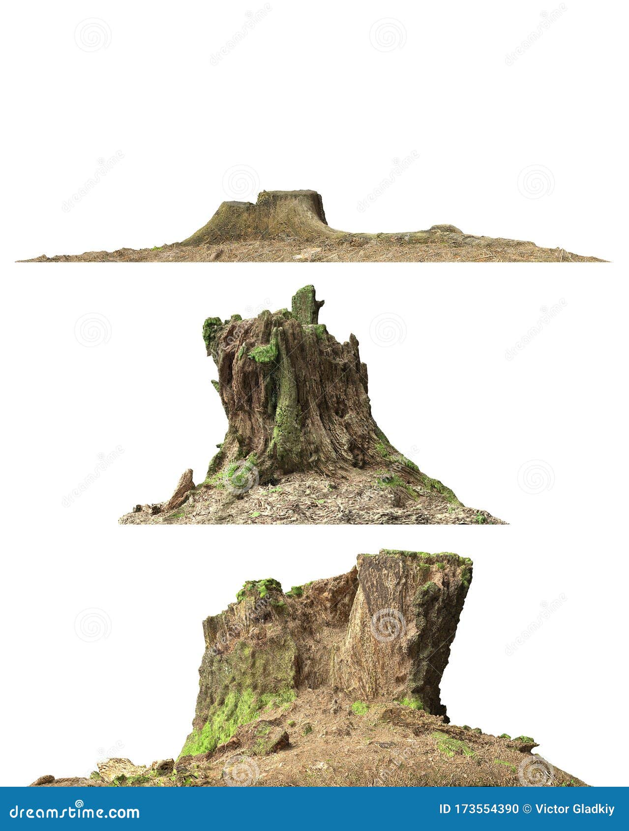 Stump Dead Tree Isolated on White 3d Illustration Stock Illustration ...
