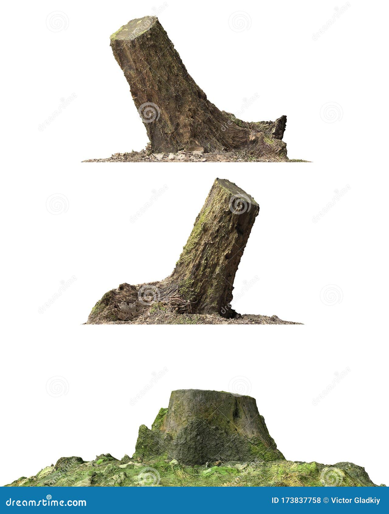 Stump Dead Tree Isolated on White 3d Illustration Stock Illustration ...