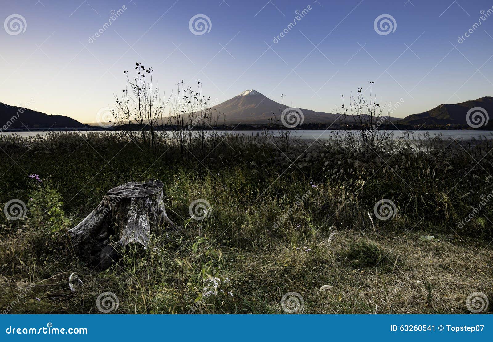 Stump in the Grass with Fuji Mountain Background Stock Image - Image of ...