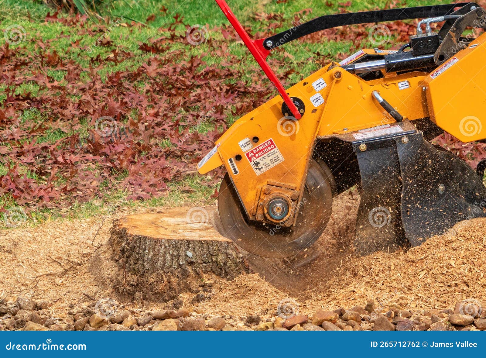 Stump Grinder Removing A Cut Tree Stock Photography | CartoonDealer.com ...