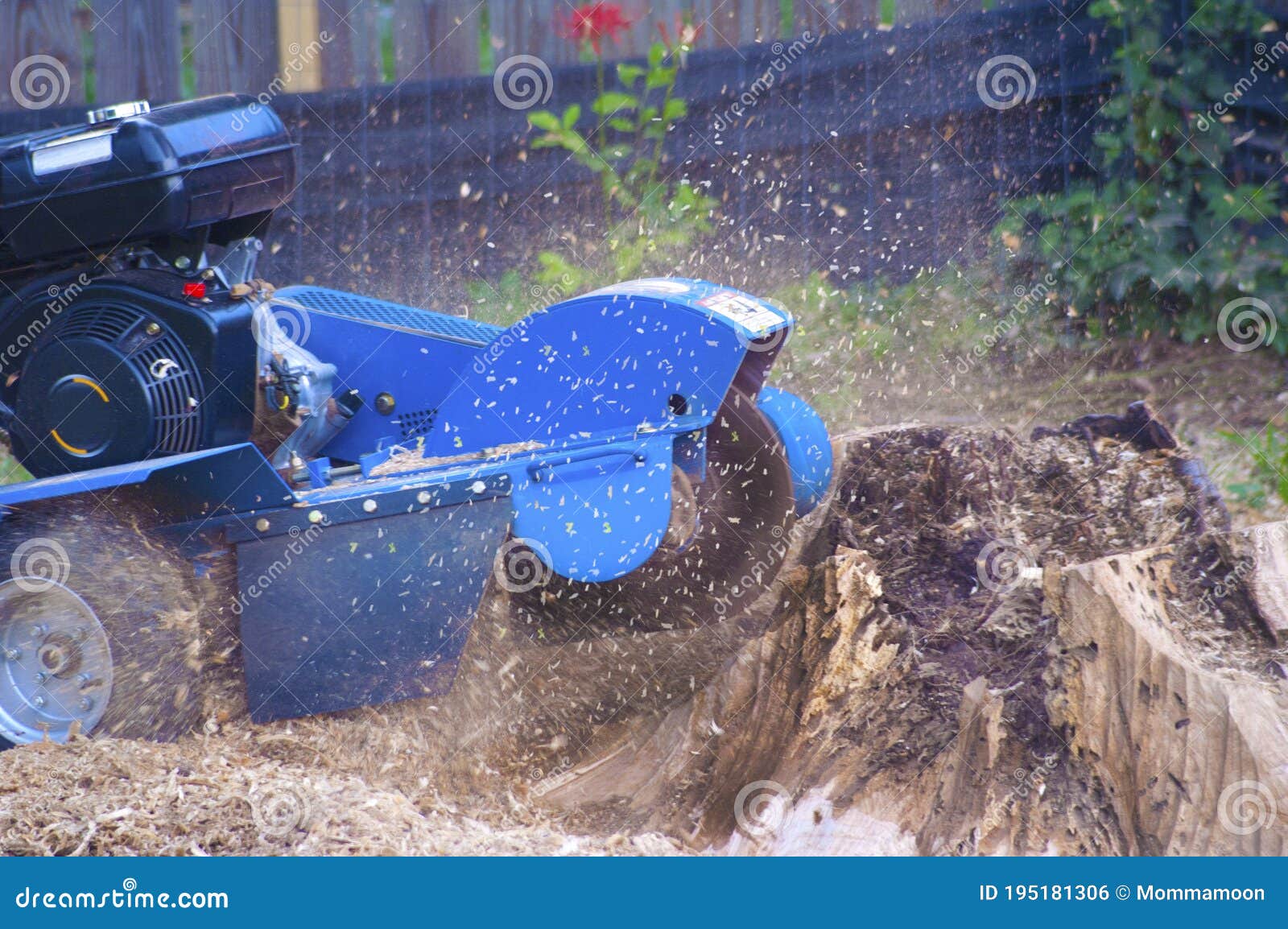 Royalty Free Images, Cartoons, Illustrations And Photos Designed By ...