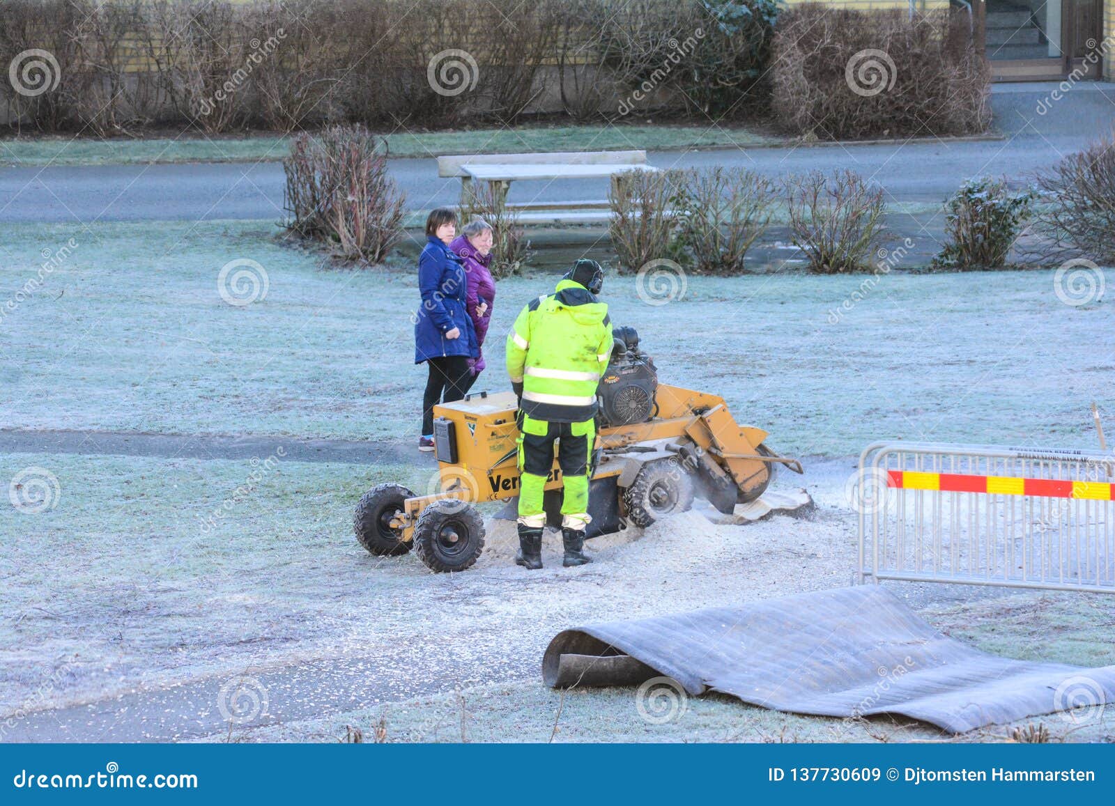 Stump Grinder Machine Grinding Tree Stump Editorial Stock Image - Image ...