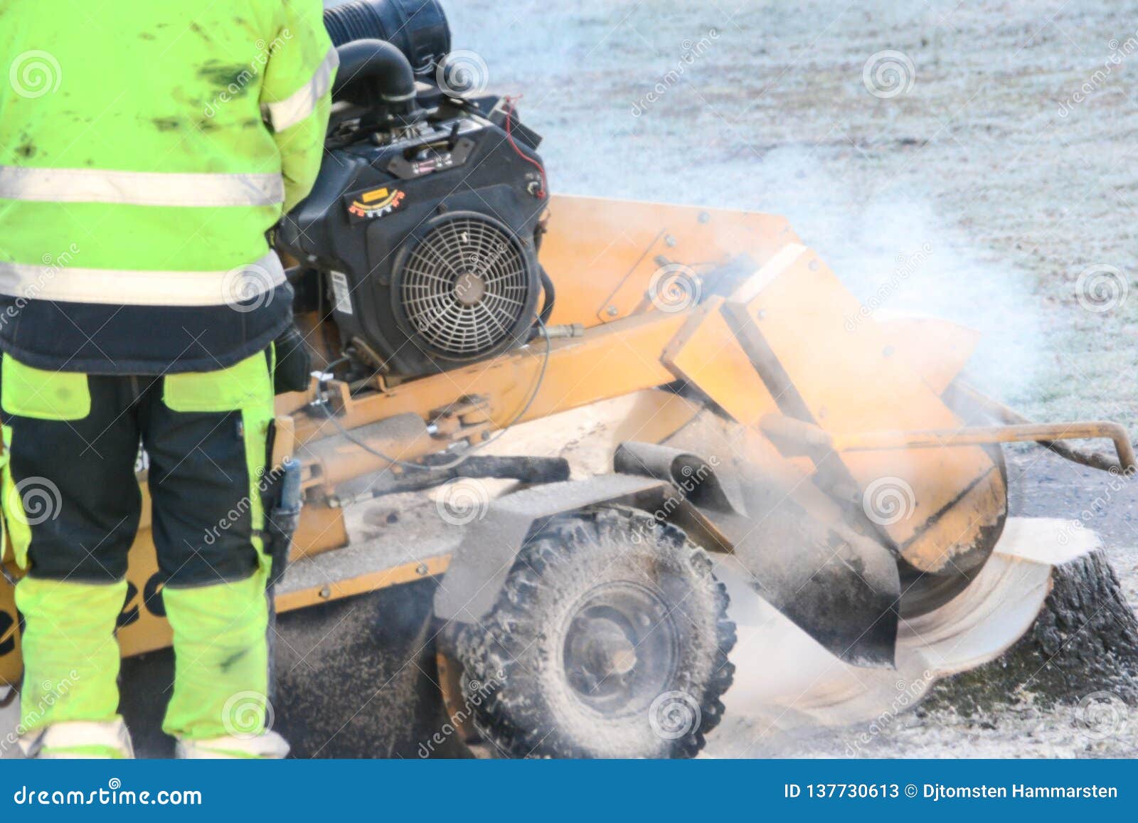 Stump Grinder Machine Grinding Tree Stump Editorial Stock Photo - Image ...