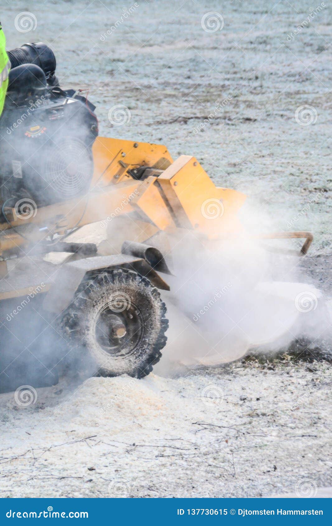 Stump Grinder Machine Grinding Tree Stump Editorial Image - Image of ...