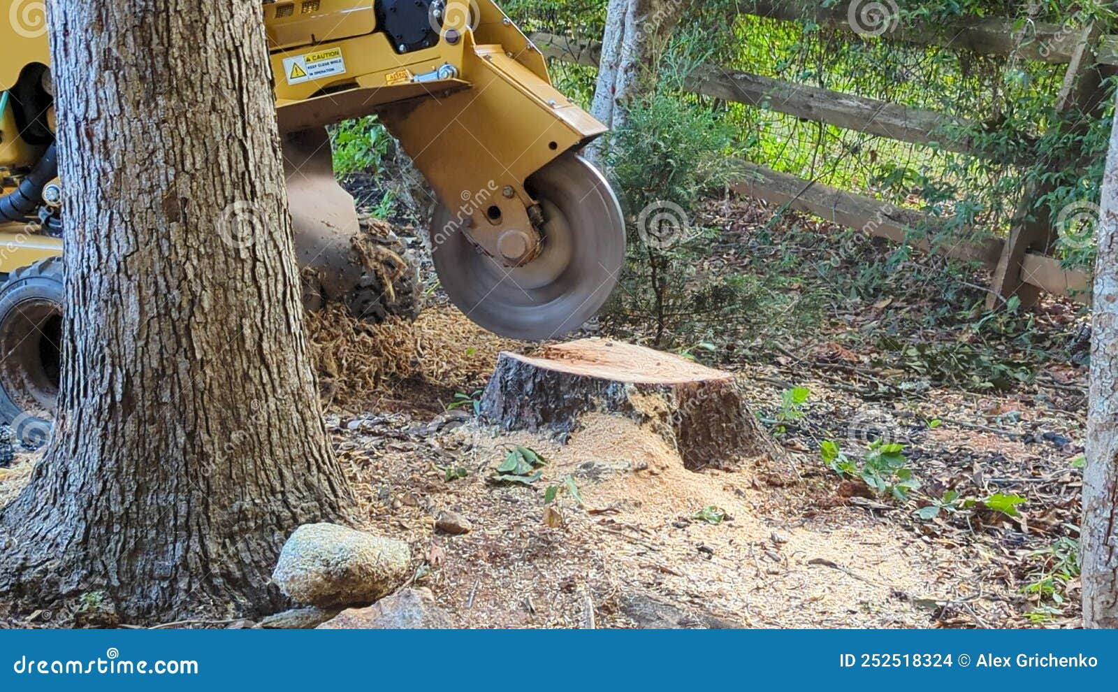 Stump Grinding Machine Hard at Work Stock Photo - Image of stump, tool ...