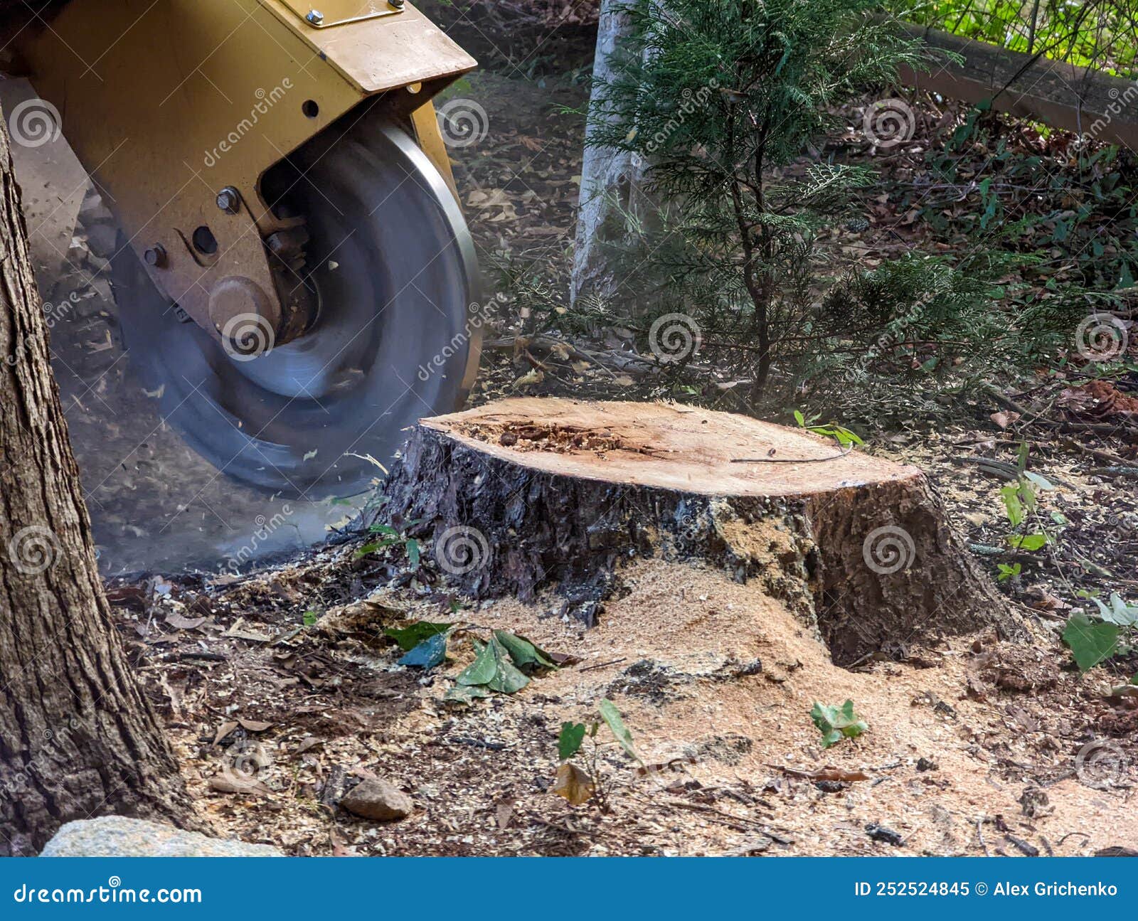 Stump Grinding Machine Hard at Work Stock Image - Image of blade ...