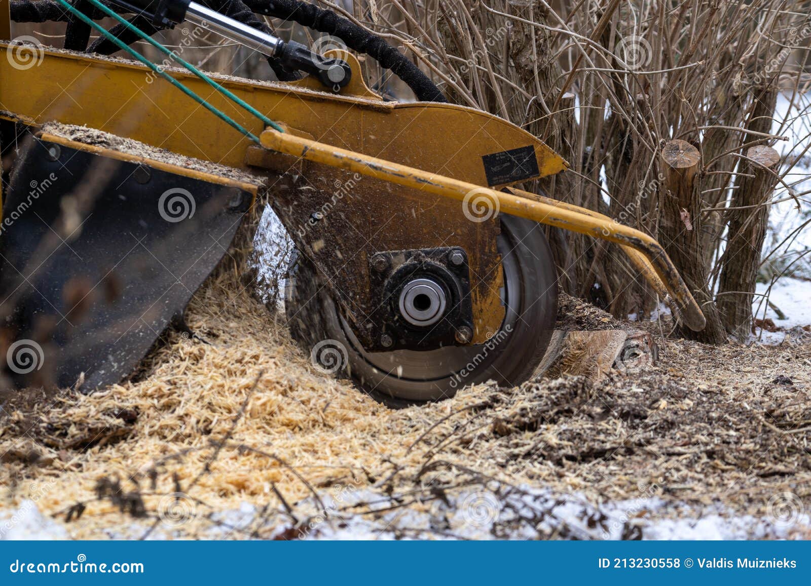 Tree Stump Removing Process with Yellow Stump Grinder Stock Photo ...
