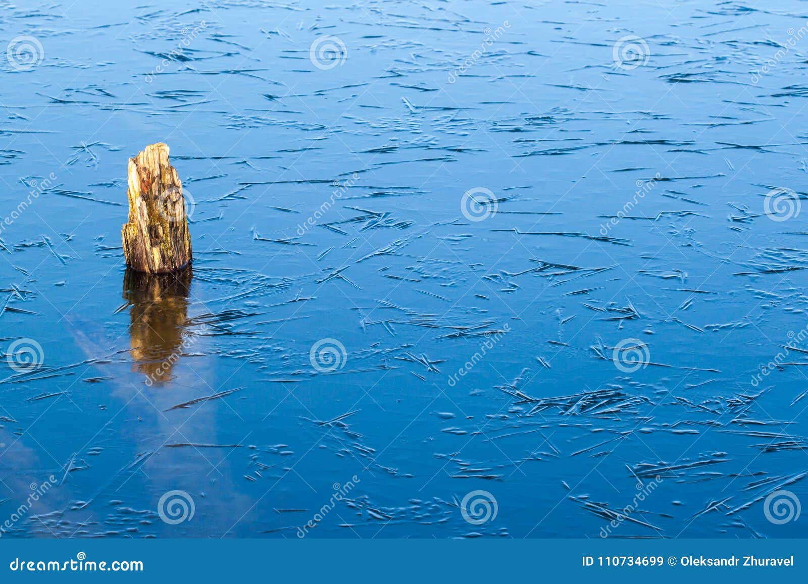 Stump in the ice stock image. Image of cold, stub, frost - 110734699