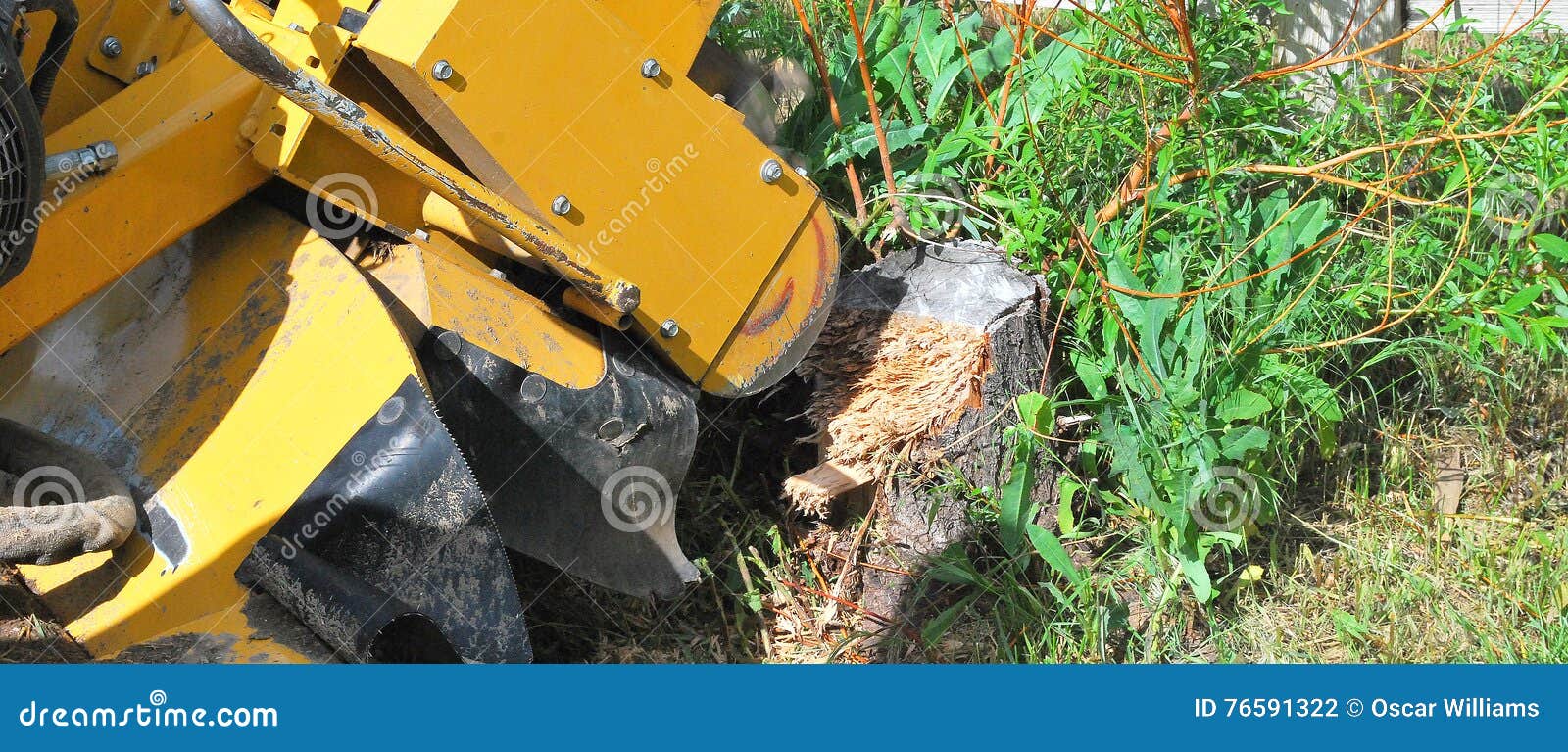 Stump machine. stock photo. Image of outdoors, trees - 76591322