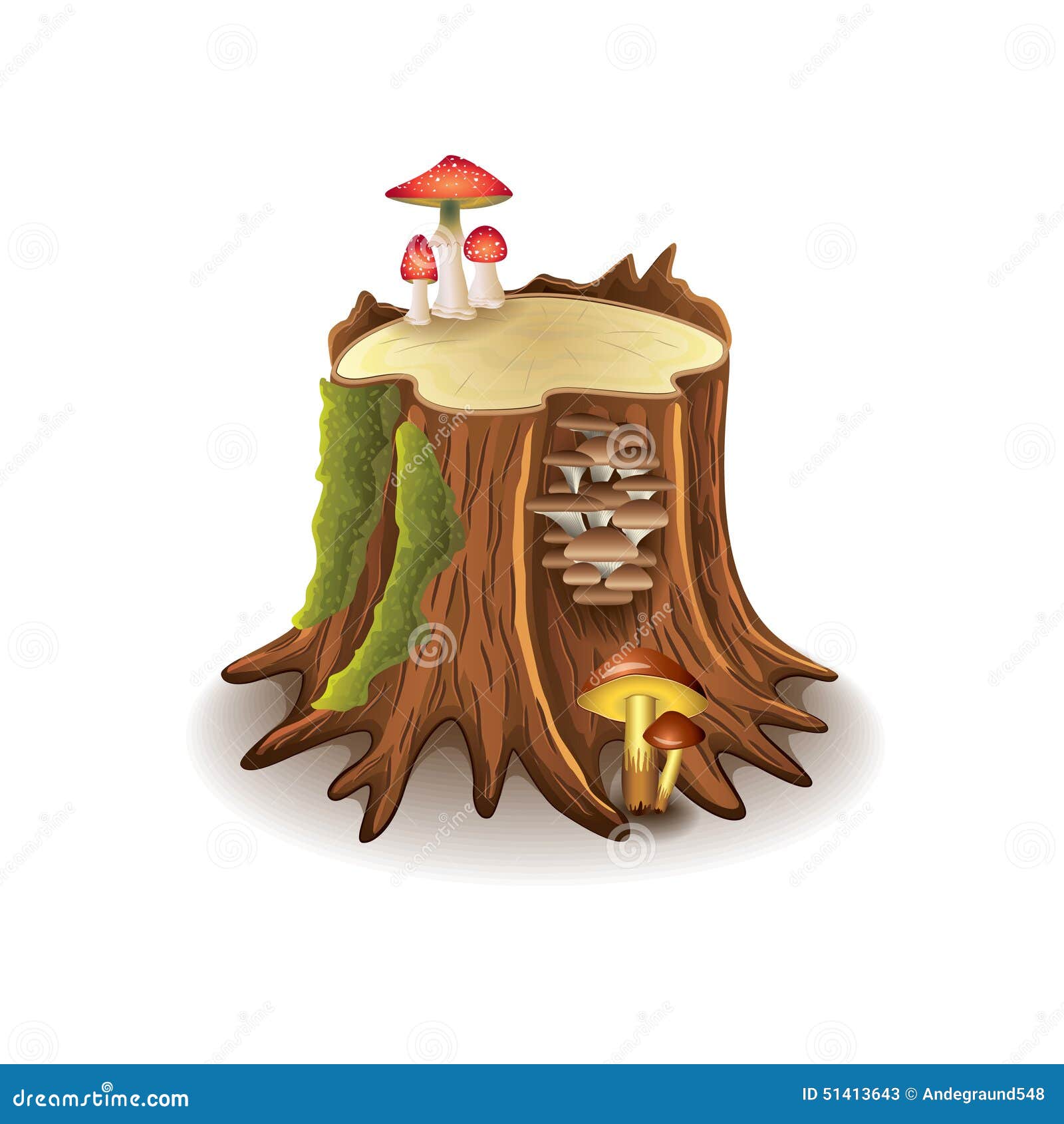 Stump With Mushrooms On White Vector Stock Vector Illustration Of Food Biology 51413643