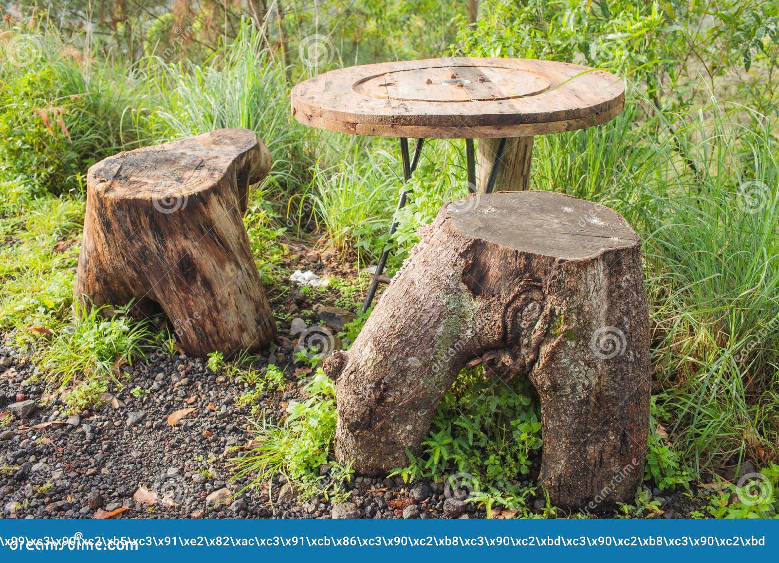 Stump Pattern on the Tree, Woman Figure. Stock Photo - Image of ...