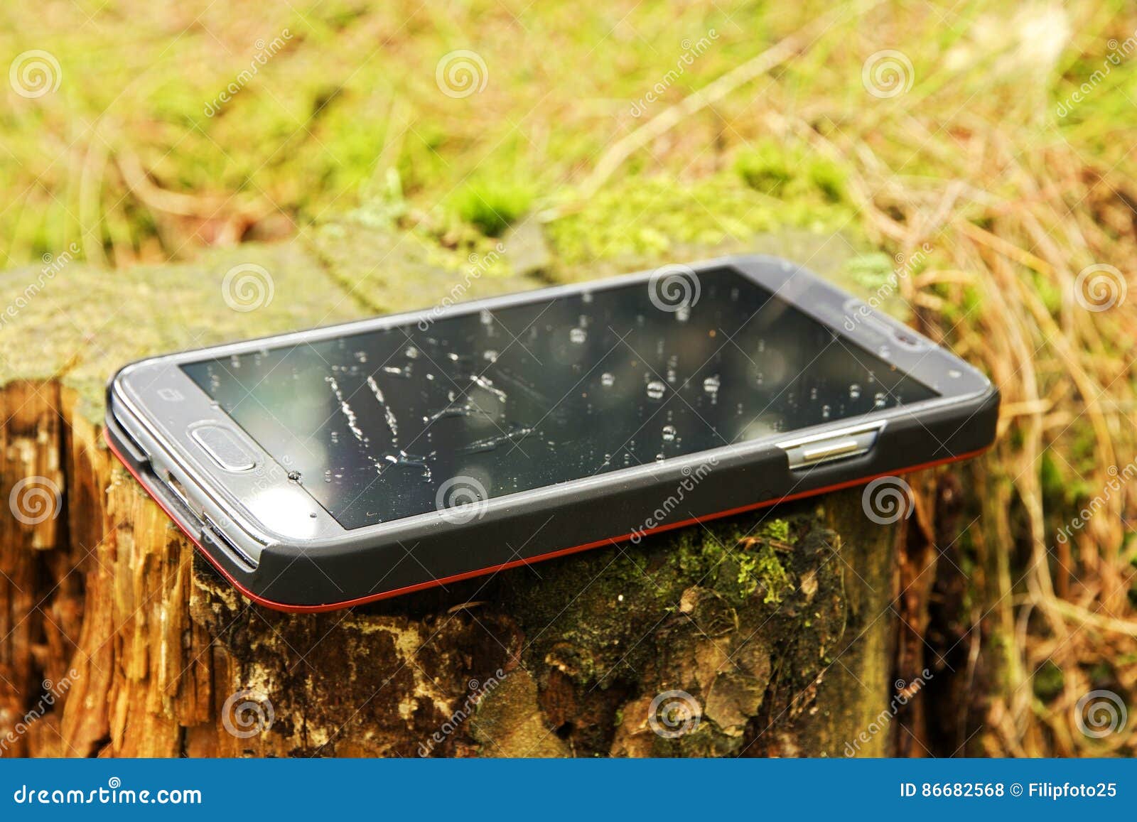 Stump and phone stock photo. Image of dead, drops, green - 86682568