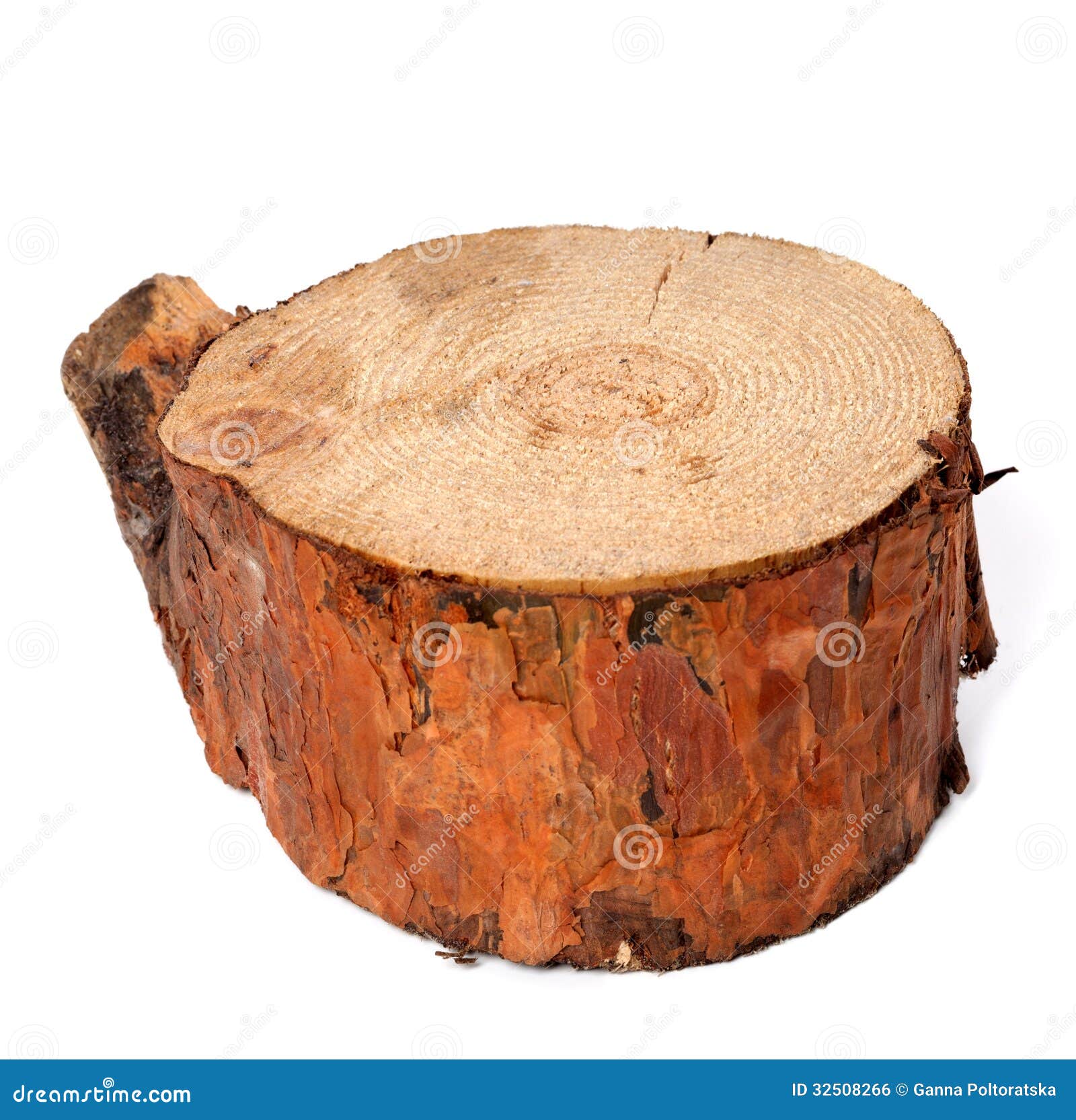 Stump of pine tree stock photo. Image of cord, board - 32508266