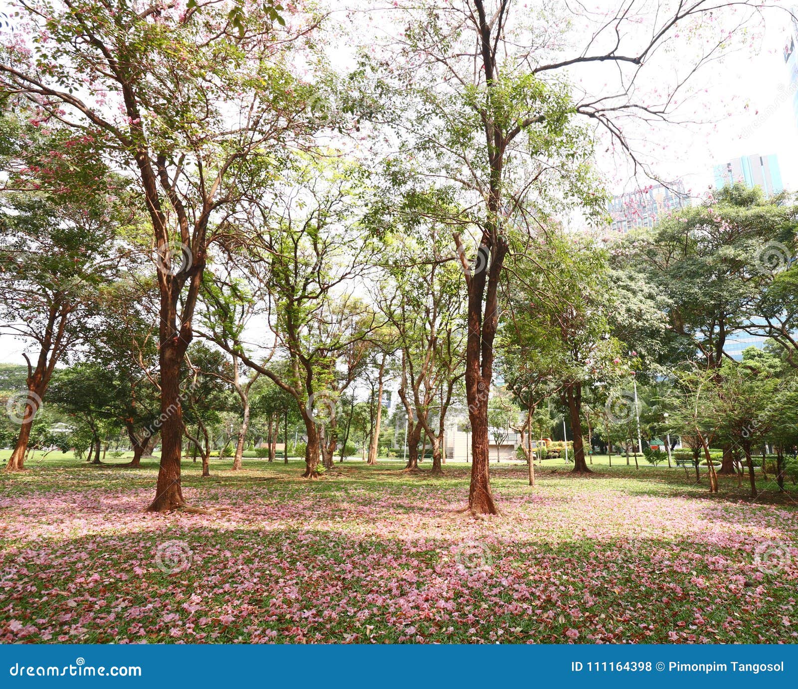 Stump with Pink Flowers Fall Stock Photo - Image of floral, flower ...