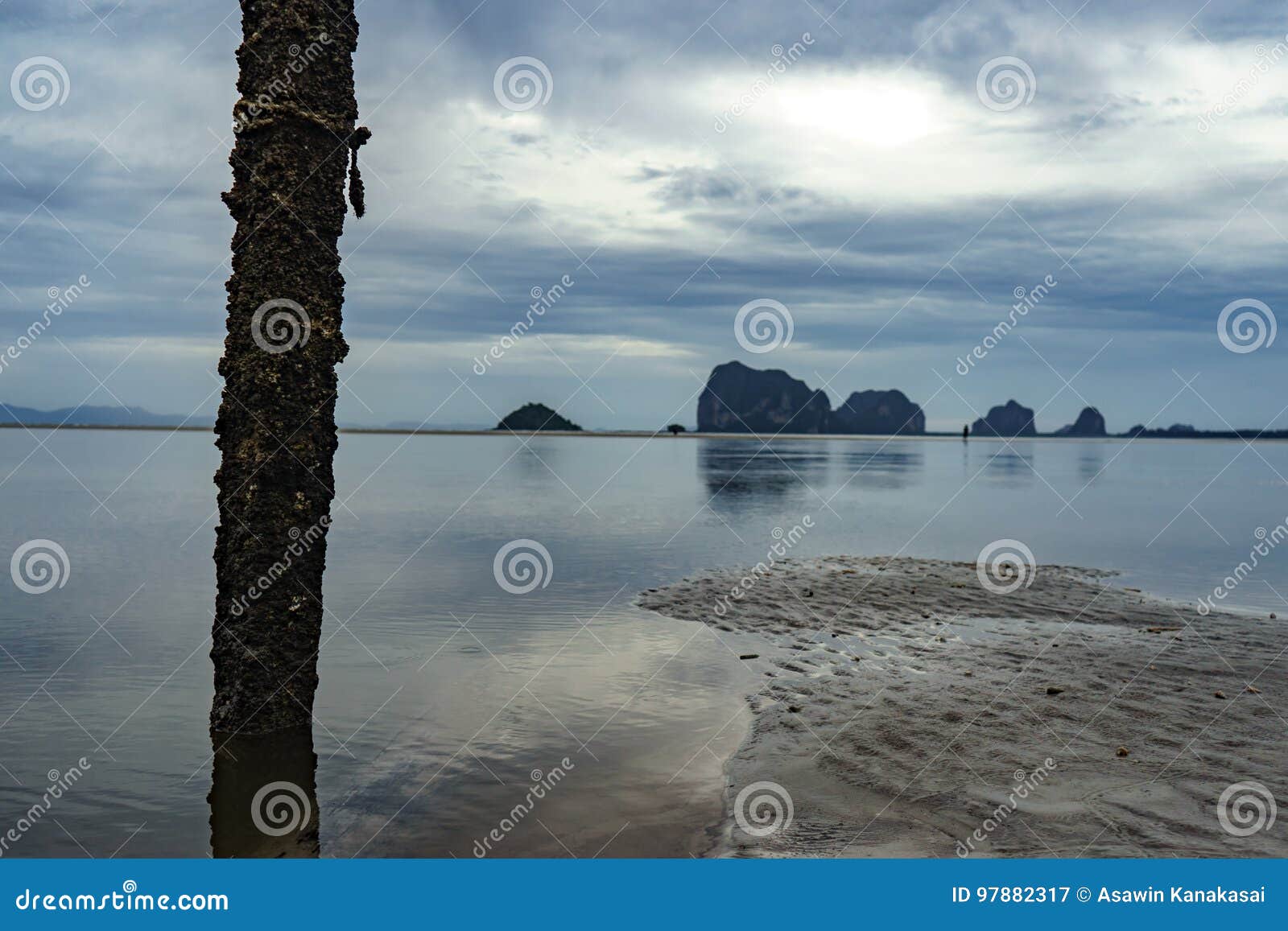 The stump stock image. Image of travel, coast, shore - 97882317