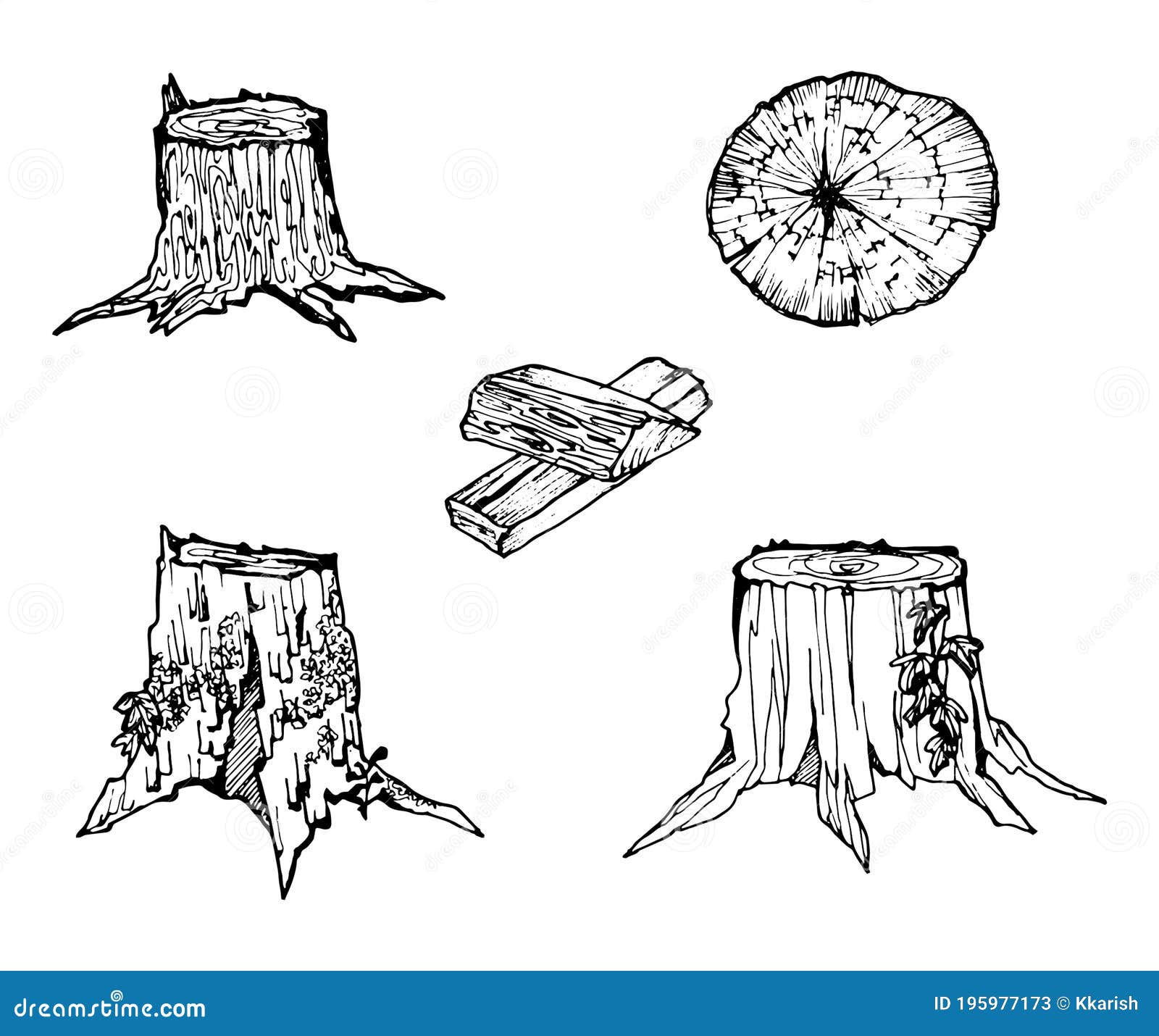 Stump Set Hand Drawn Graphic Illustration Stock Image - Image of branch ...