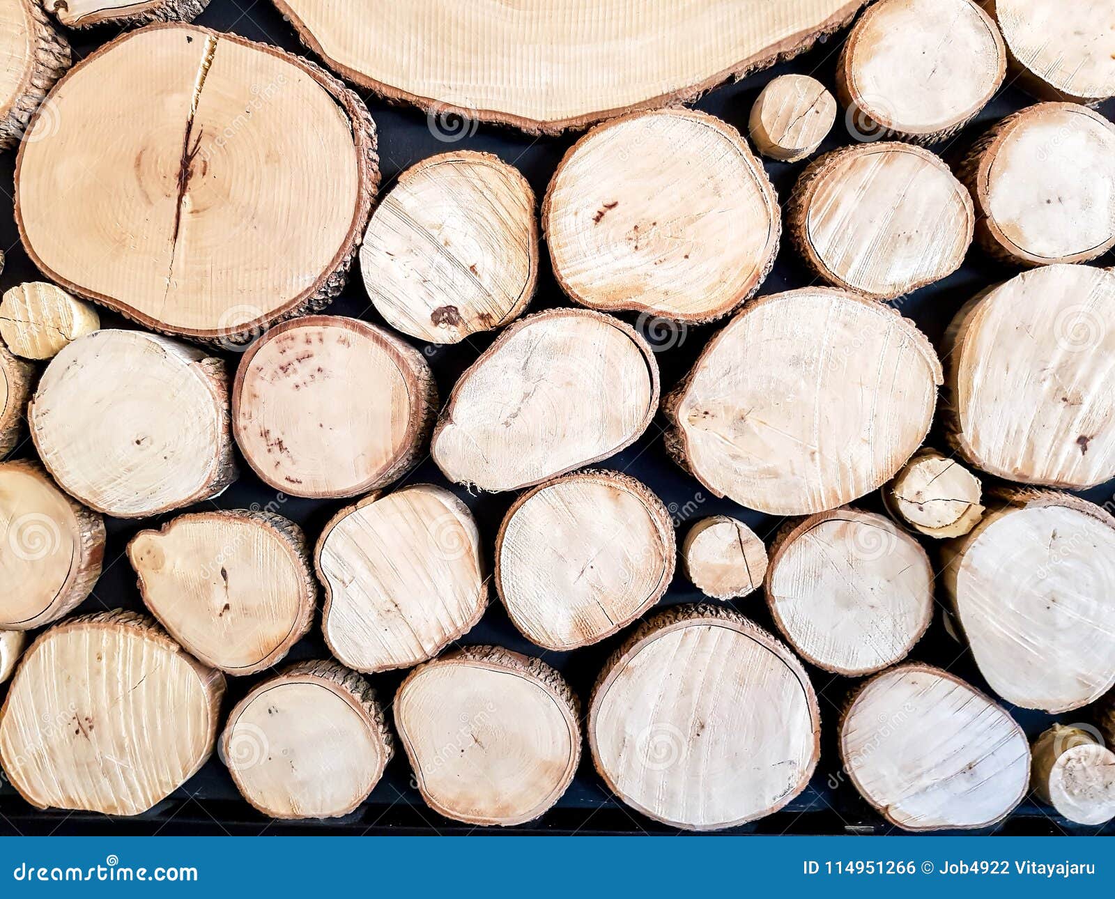 Stump wall texture stock photo. Image of nature, design - 114951266