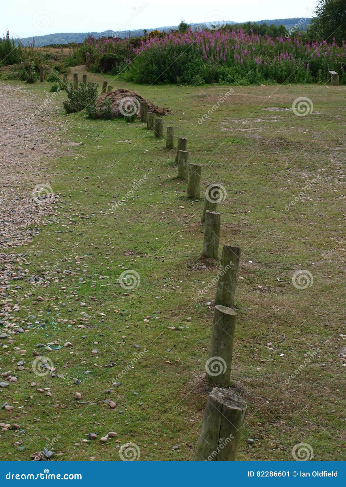 Stumped stock image. Image of devon, exmouth, stumped - 82286601