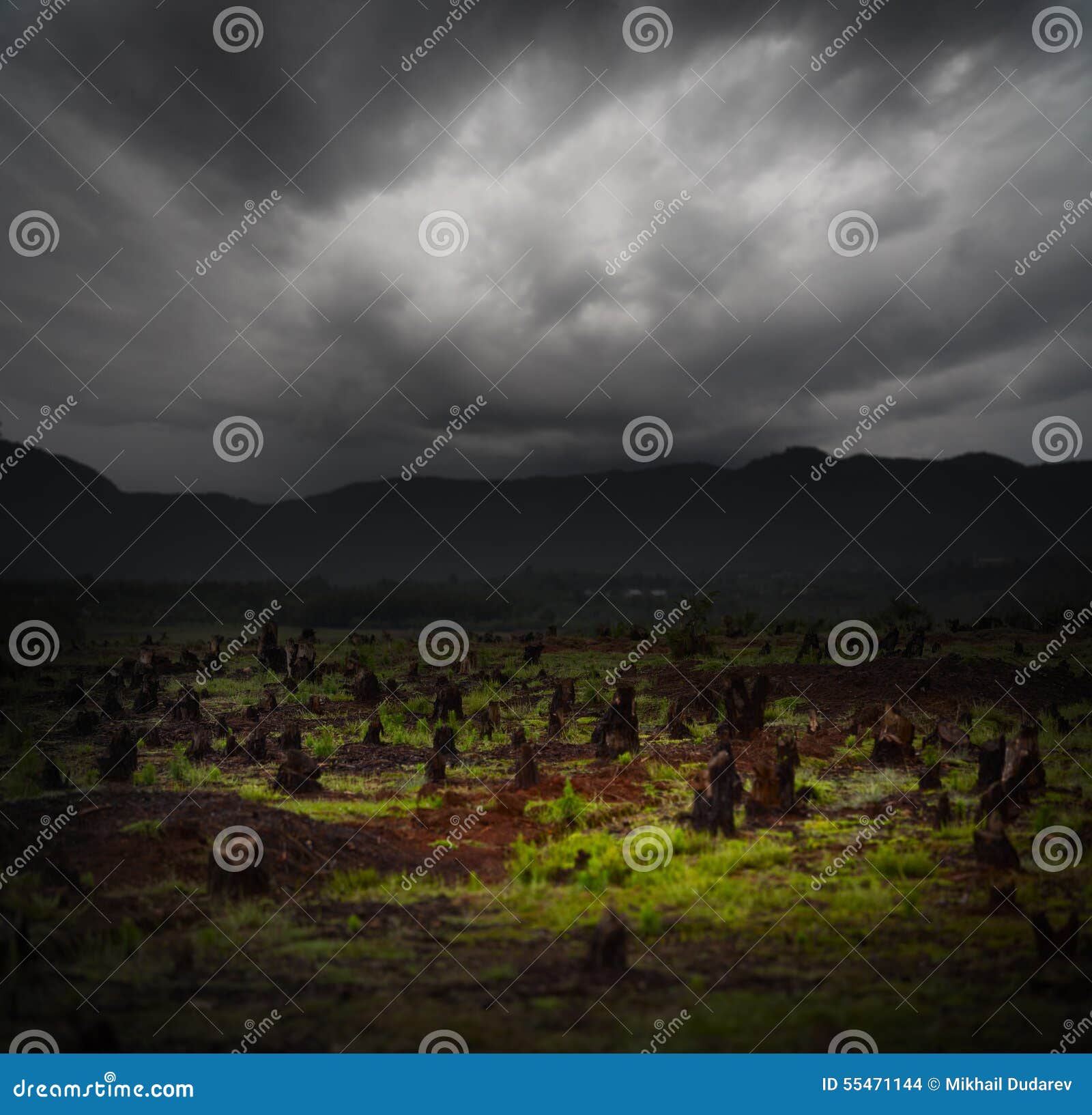 Stumps on the valley stock photo. Image of clouds, desert - 55471144