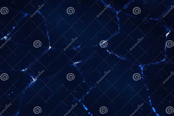 Blue Caustic Glass Water Abstract Background - 2022 Color Trend Stock ...