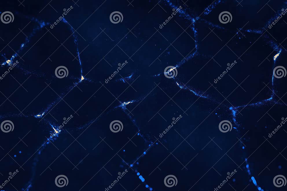 Blue Caustic Glass Water Abstract Background - 2022 Color Trend Stock ...