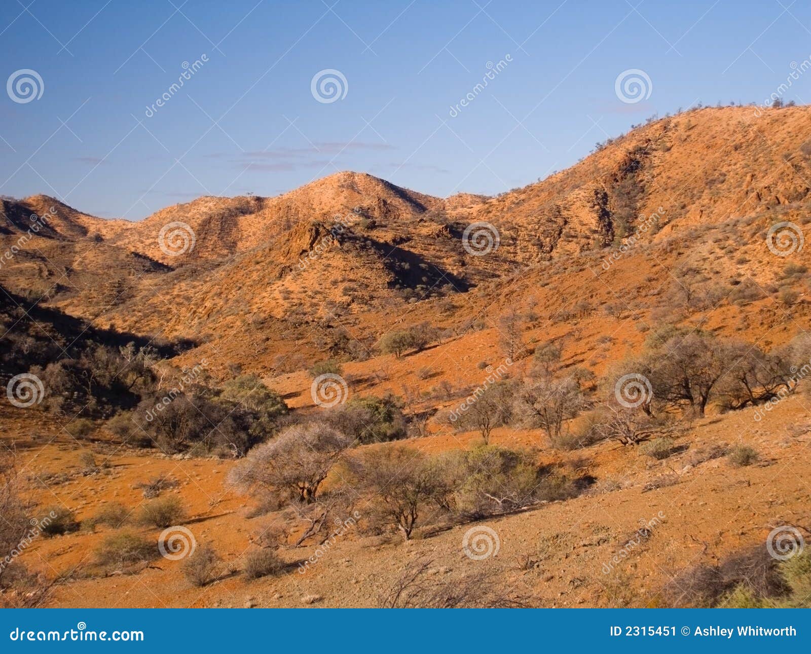Arid Landscape Royalty-Free Stock Photo | CartoonDealer.com #3275613