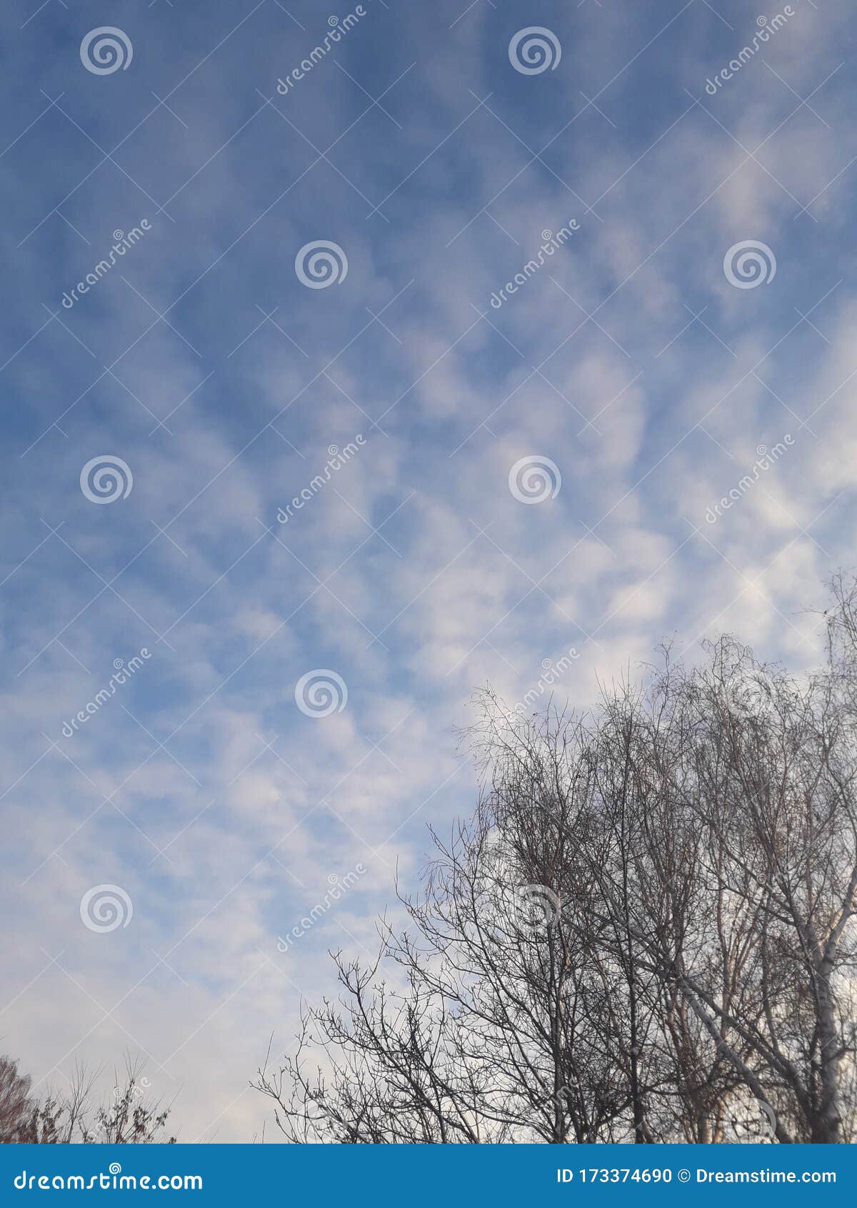 Stunning Blue Sky in Winter Stock Photo - Image of winter, nature ...