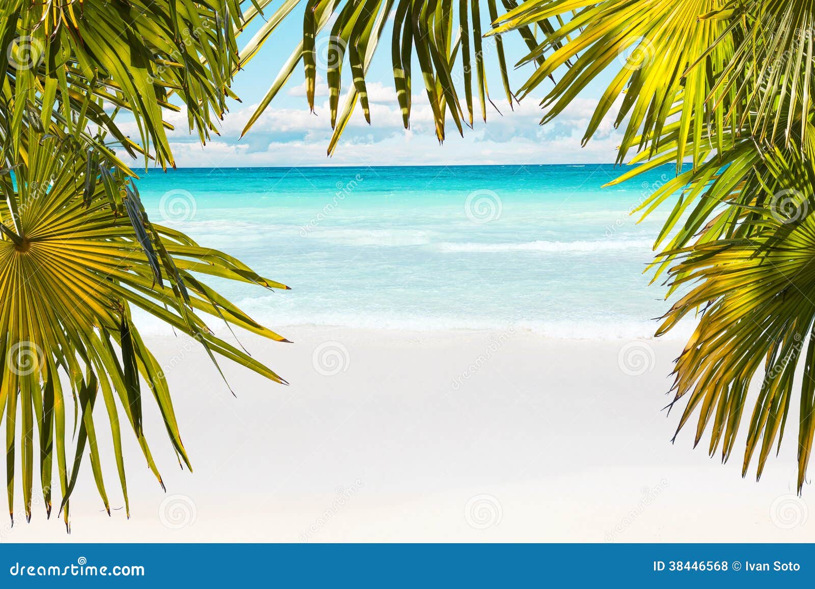 Stunning Caribbean Beach with Transparent Water Stock Photo - Image of ...