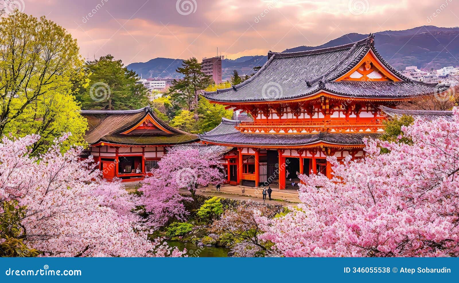 Stunning Cherry Blossoms Frame a Traditional Japanese Temple Complex at ...