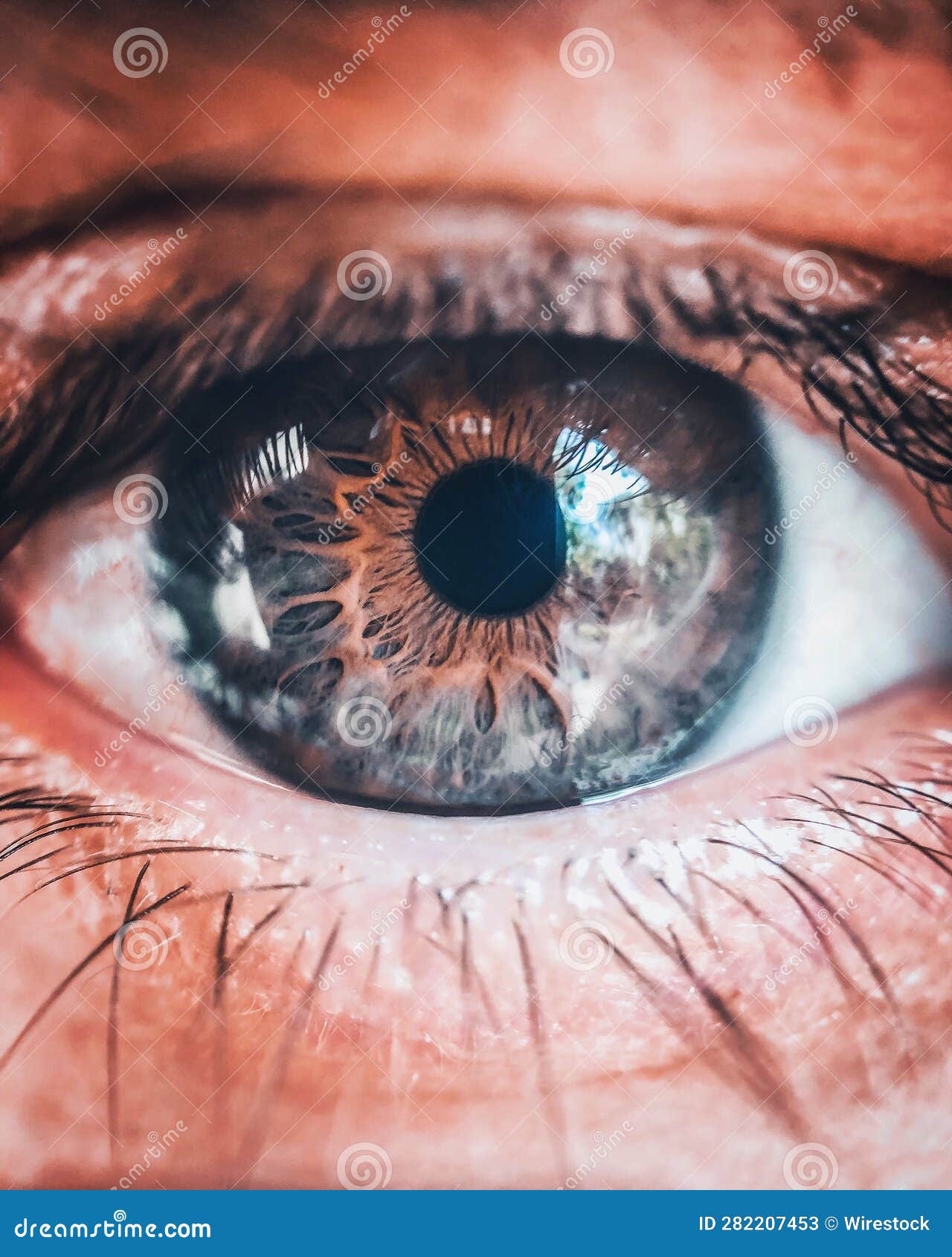Stunning Close-up of a Human Eye with the Iris Highlighted Stock Image ...