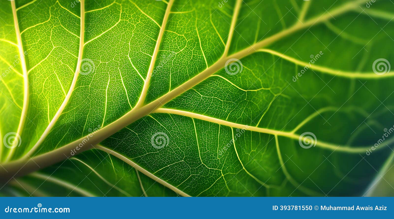 A Stunning Closeup Of Prismatic Insect Exoskeletons Dusted In Sparkling ...
