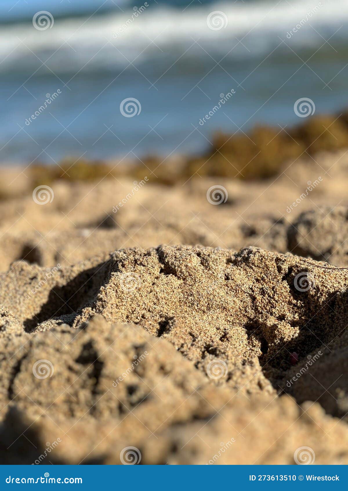 Stunning Closeup Shot of a Beach with Warm Sunlight Illuminating the ...