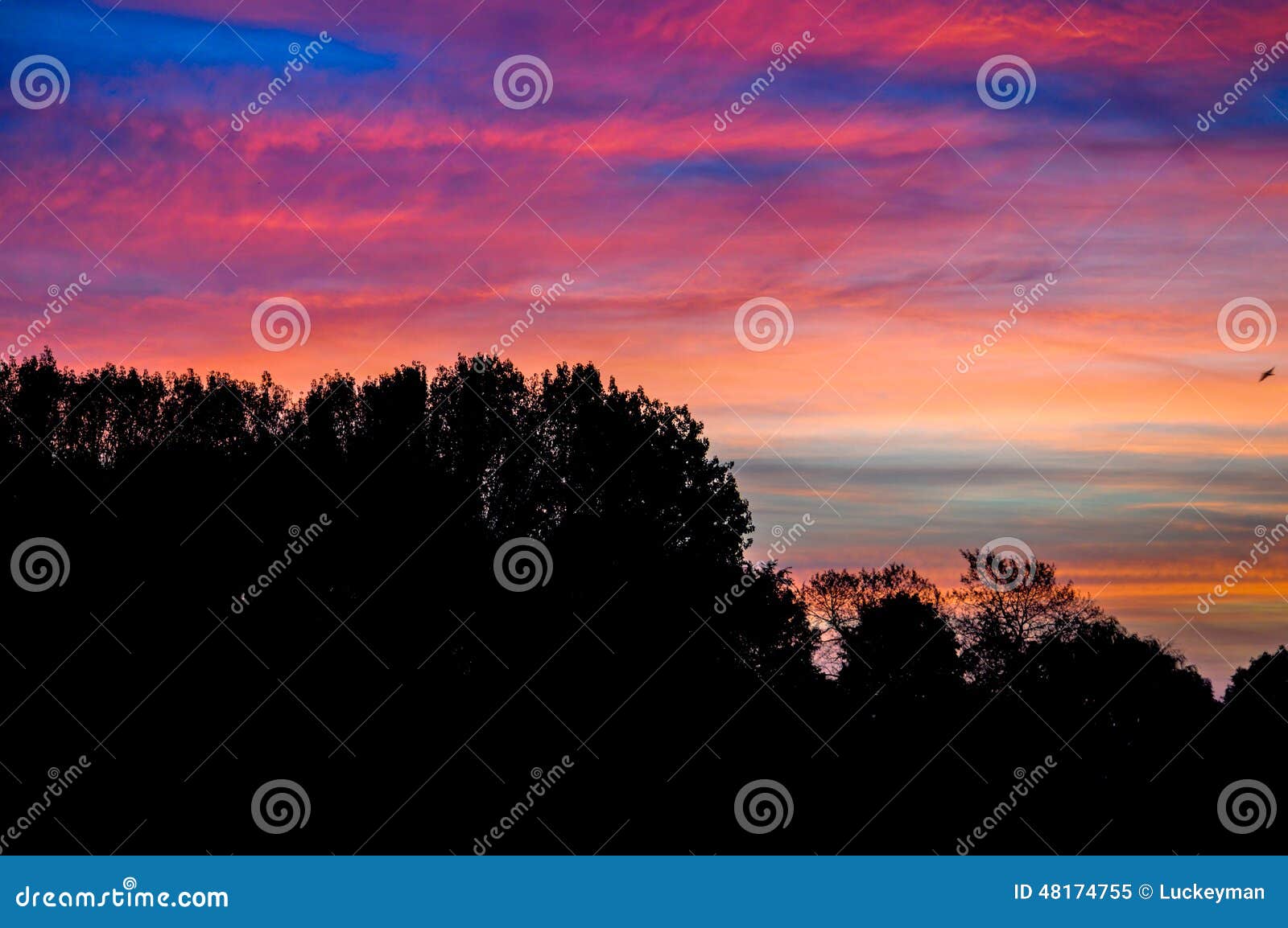 Stunning Colorful Sky stock image. Image of colorful - 48174755