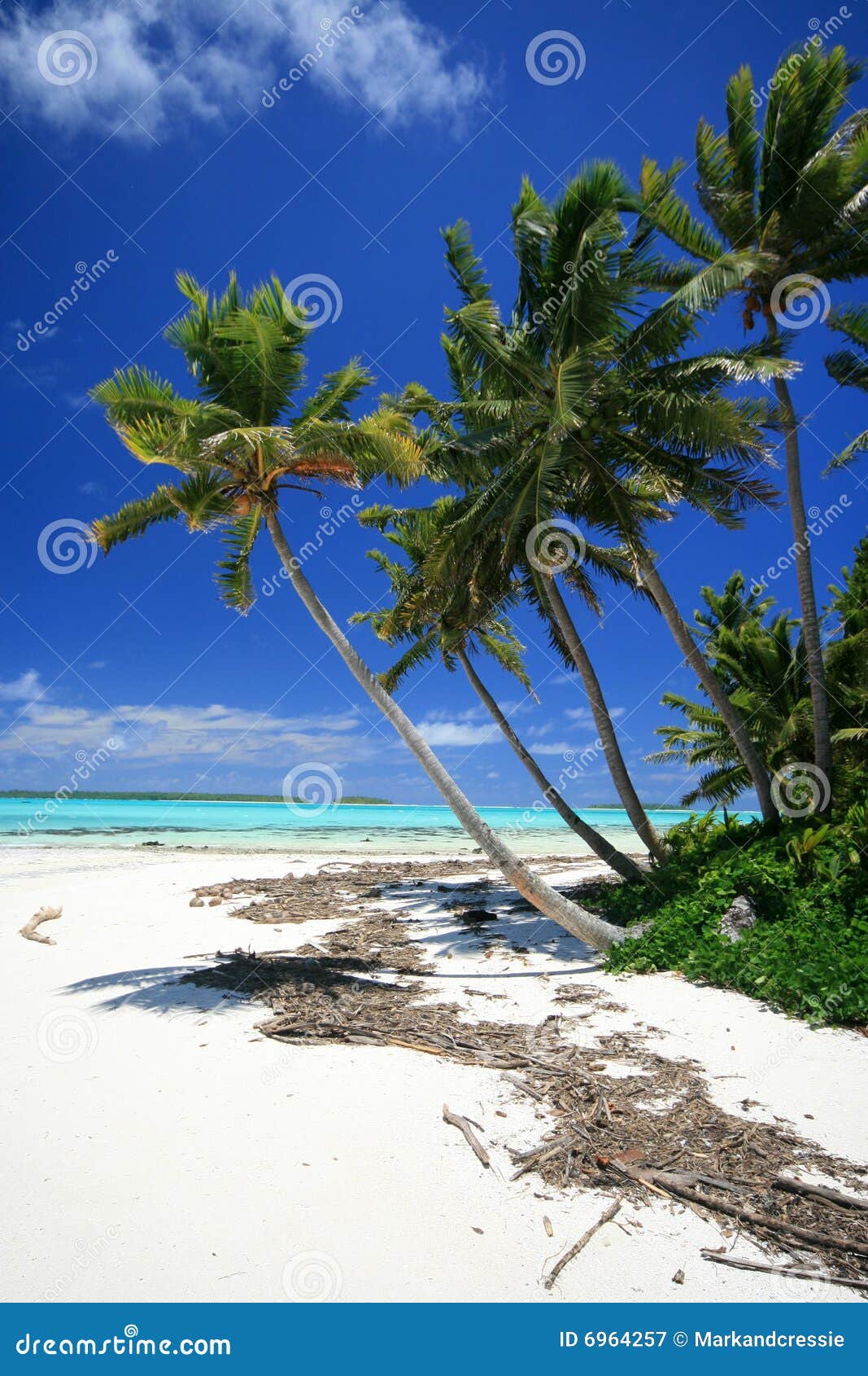 Stunning Cook Islands Lagoon Stock Image - Image of caribbean, cruise ...