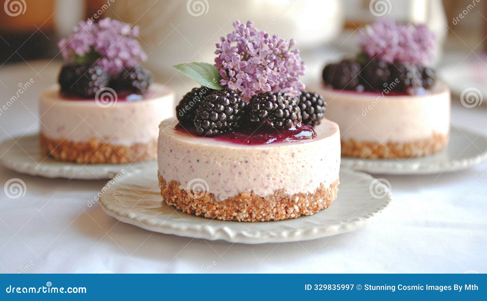 The Perfect Dreamy Cheesecake with Graham Cracker Crust, Tart Cheesy ...