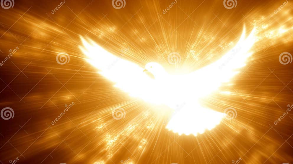 A Celestial Heavenly Holy Glowing White Dove (Peace, Miracle, Good Luck ...