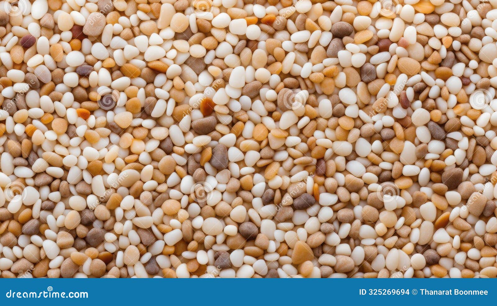 Stunning Decorative Gravel Path Texture for Unique Landscaping Stock ...