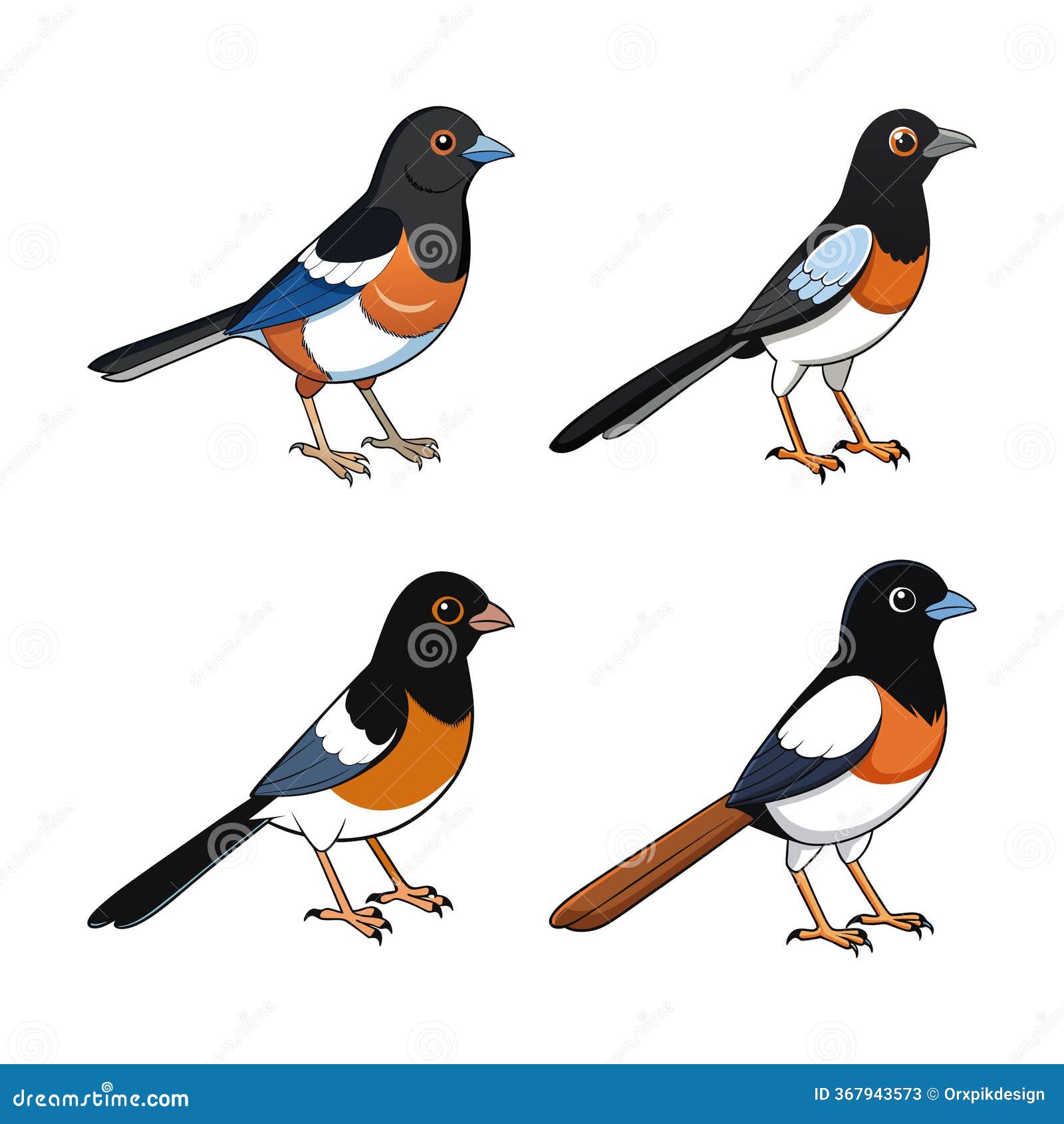 Stunning Eastern Bluebird On A Wild Plum Tree Branch: A Moment Of ...