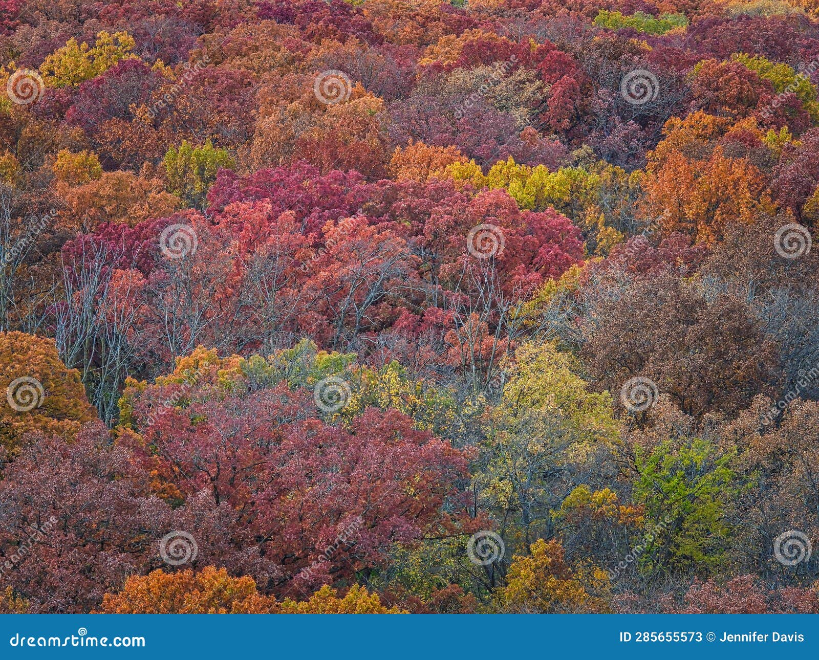 Stunning Fall Scene of Autumn Colored Trees Calm Tranquil October Scene ...