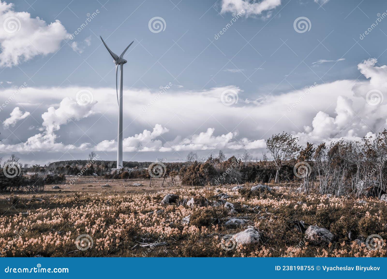 Stunning Field View with Wind Generator and Flowers Stock Image - Image ...
