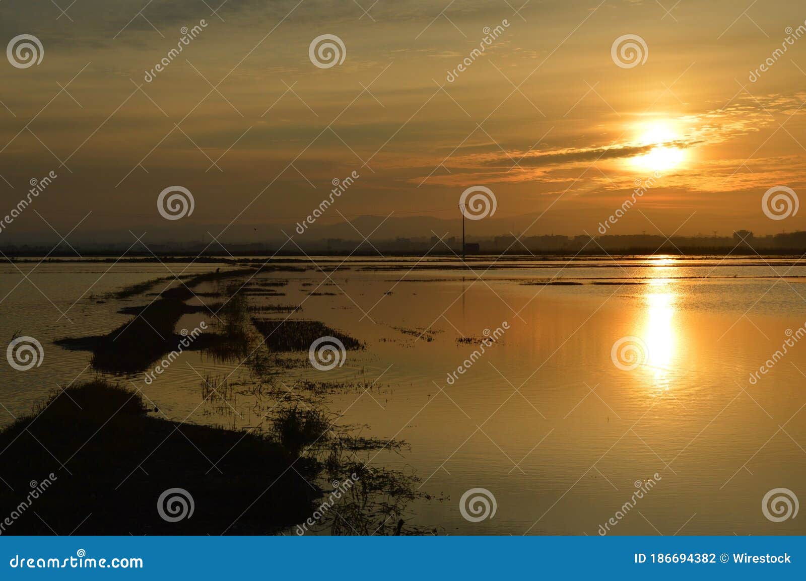 Stunning Golden Sunset Sky and Sun Reflection in the Water Stock Photo ...