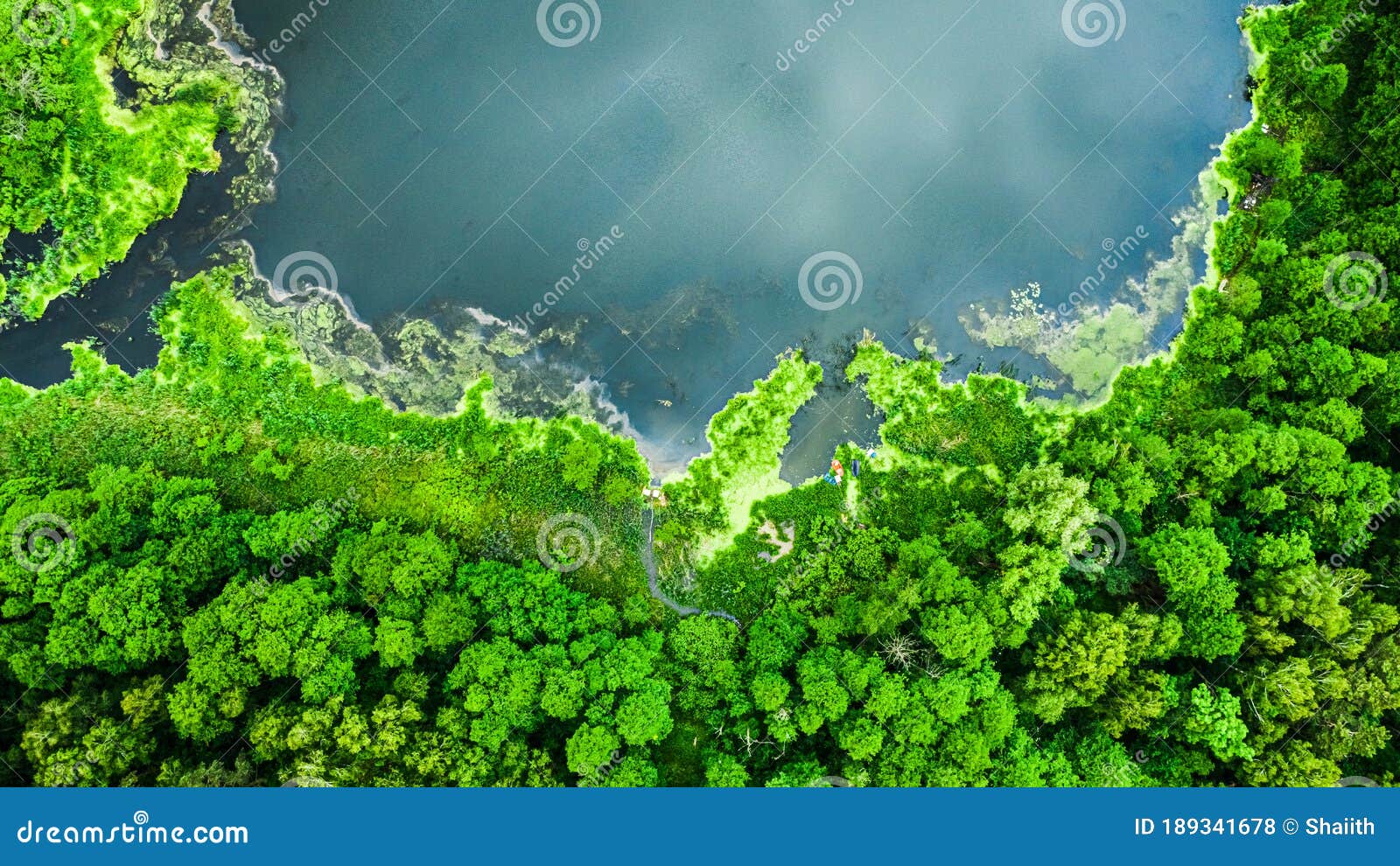 Stunning Green Algae on the Lake in Spring, Aerial View Stock Photo ...
